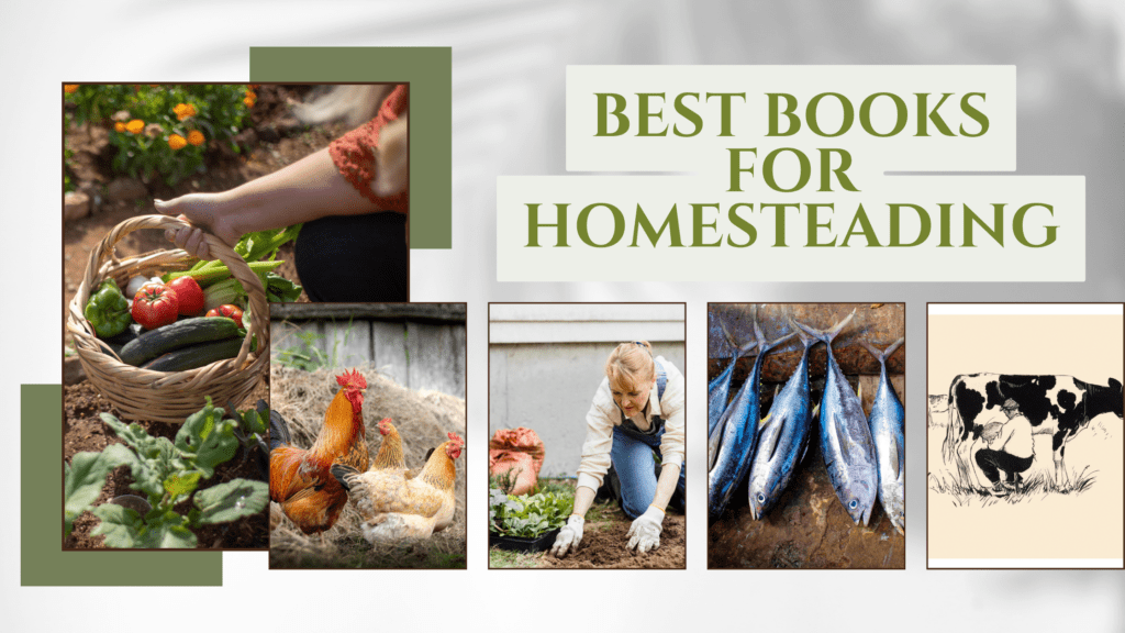 3 Best Books For Homesteading Library